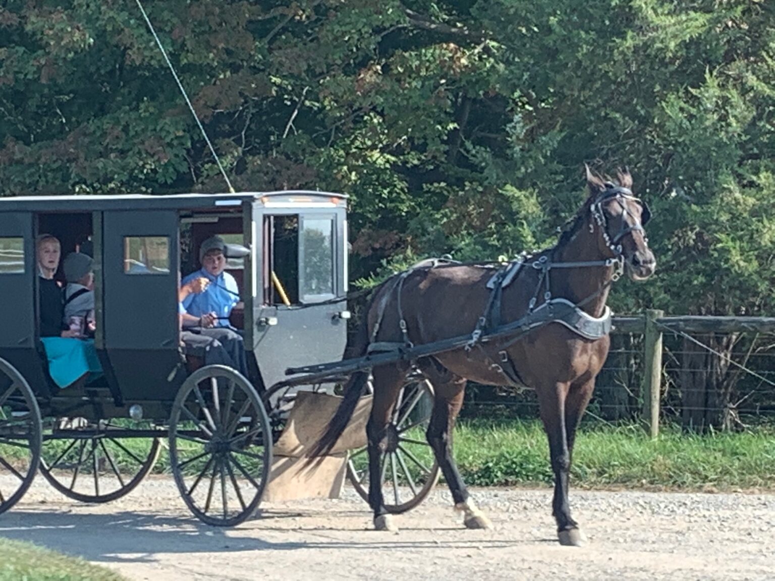 Welcome to BFK’s Fall Bike Celebration! | Celebrate the charm of ...